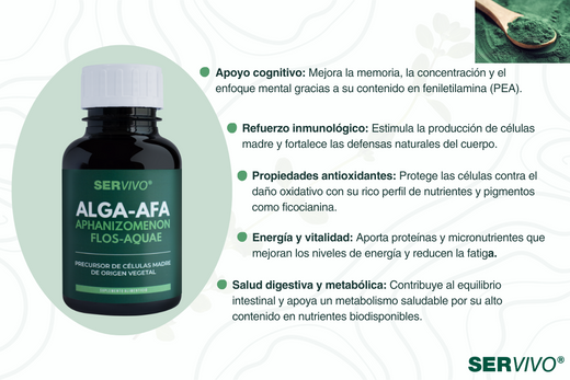 Alga AFA: El Secreto Natural para Regenerar tu Cuerpo